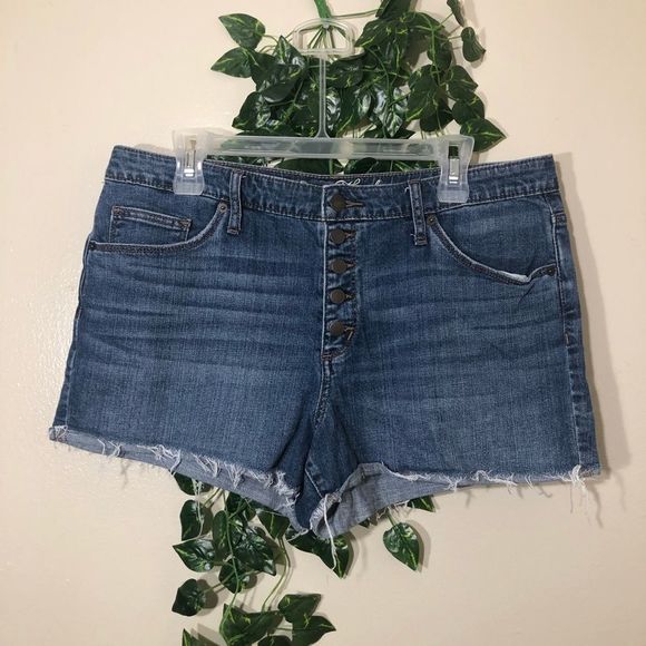 Universal Thread | Shorts | Universal Thread Buttondown Denim Shorts ...